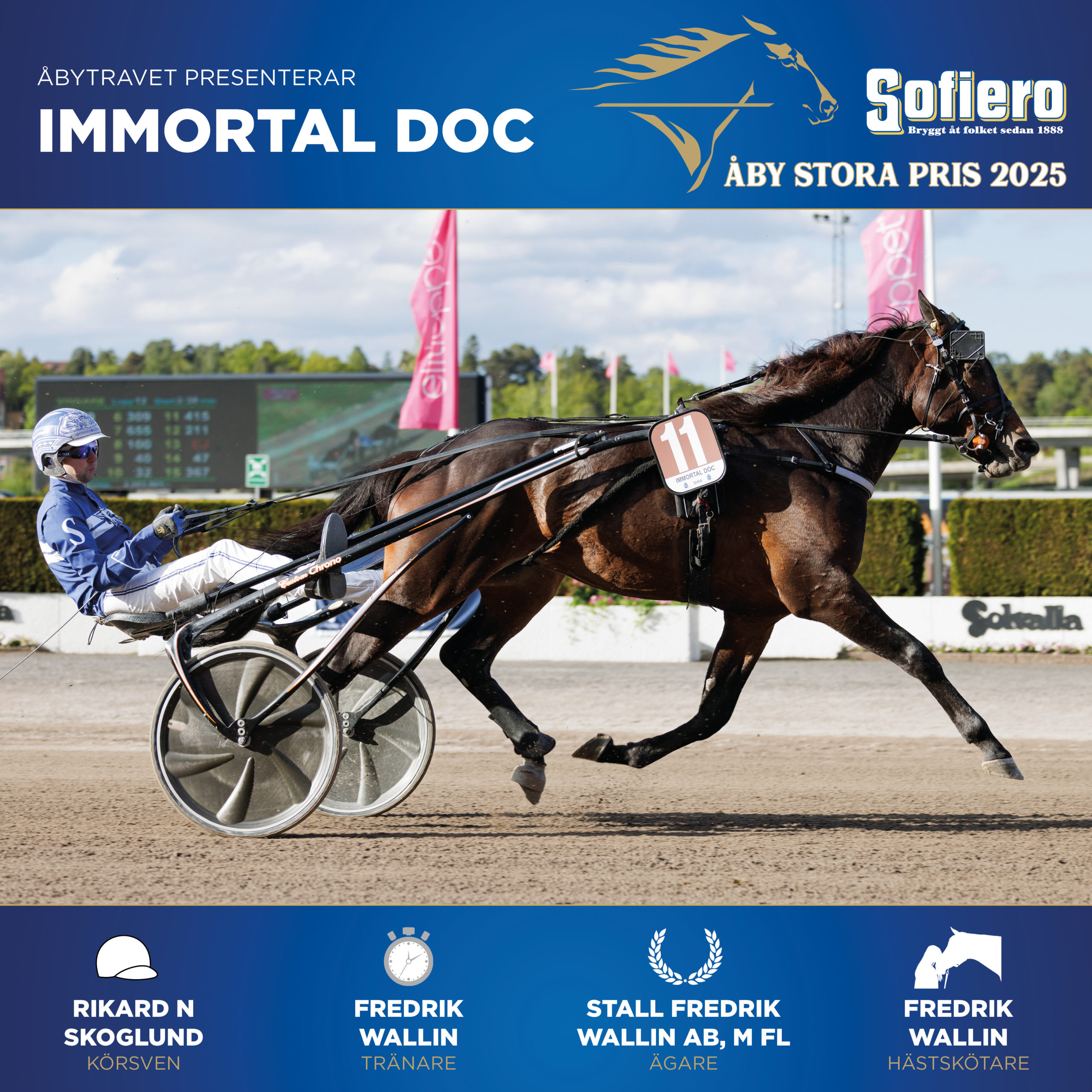Immortal Doc klar för Sofiero Åby Stora Pris den 16 augusti- Får välja ...